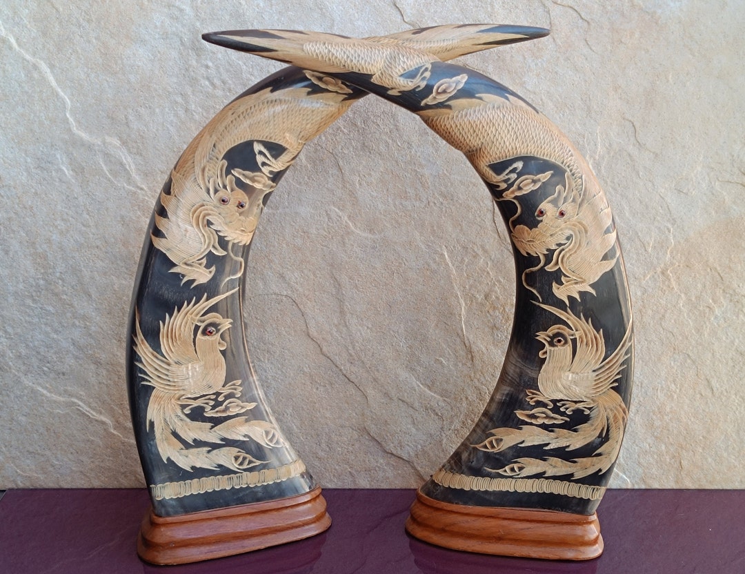 Chinese Style Dragon Hand Carved on Buffalo Horn, Dragon on Buffalo ...