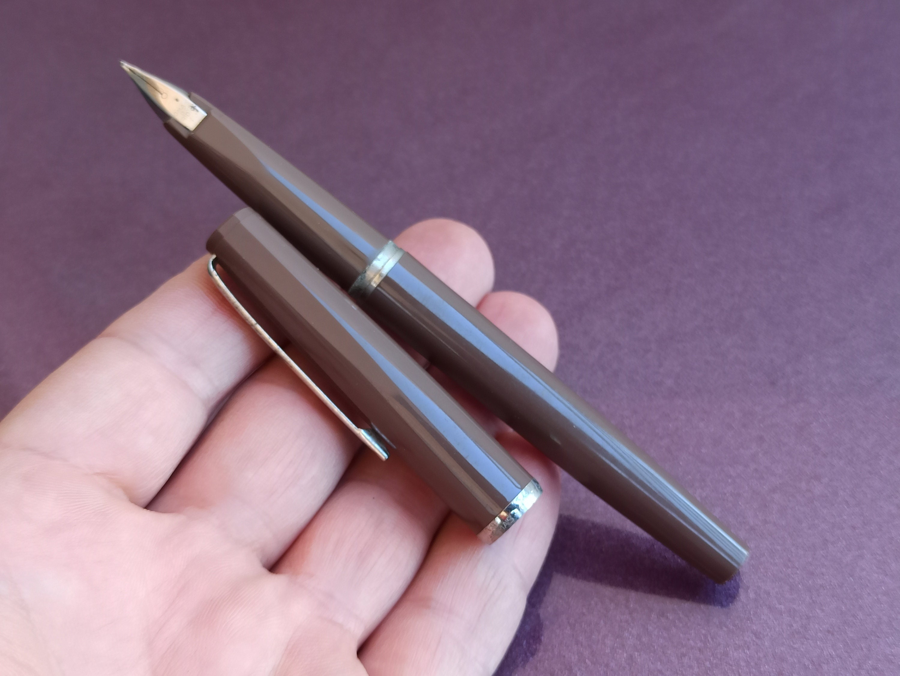 OMAS ITALY Fountain Pen Collectible Pen Gift Pen Fountain - Etsy