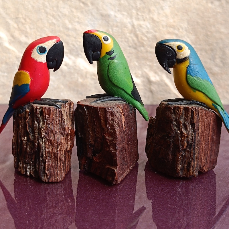 Hand Painted Parrot - Etsy