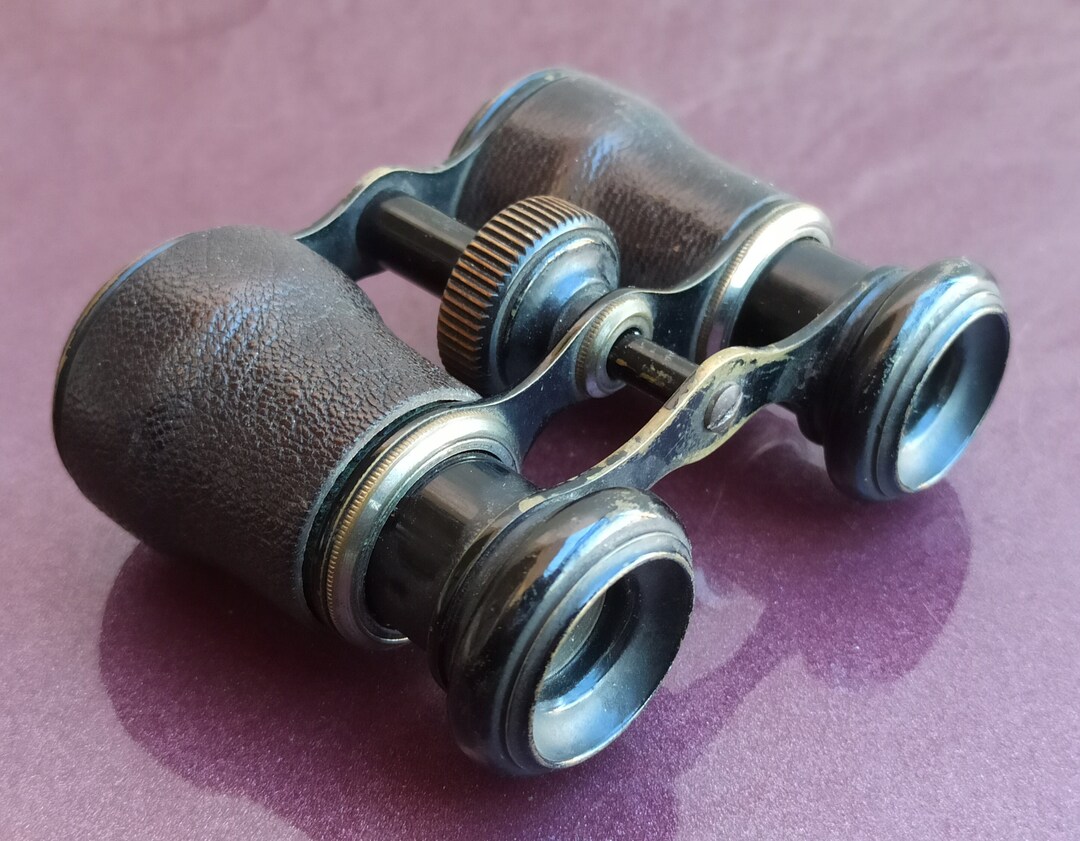 1910s Opera Glasses, Binoculars, Display Bird Watching, Antique ...
