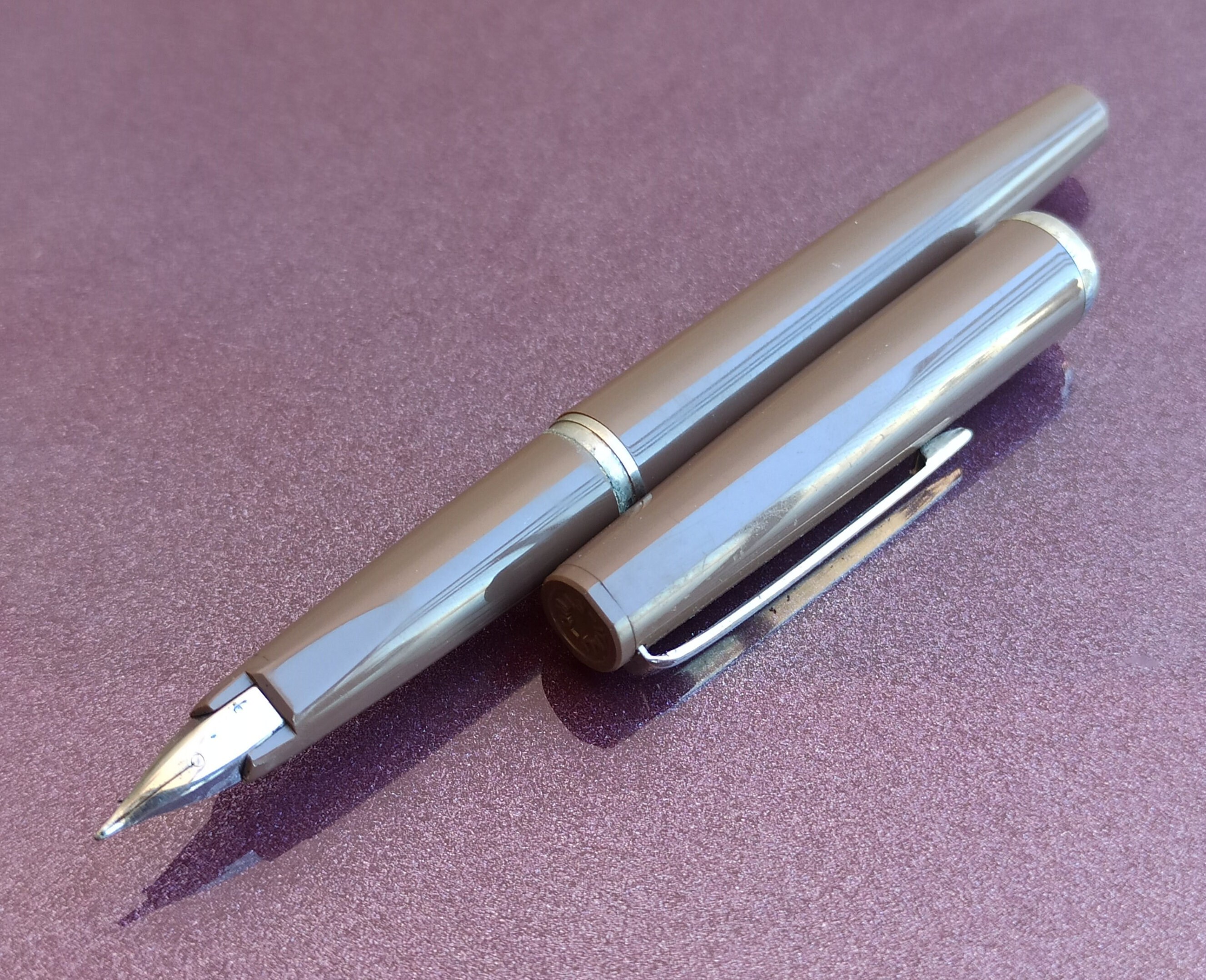 OMAS ITALY Fountain Pen Collectible Pen Gift Pen Fountain - Etsy