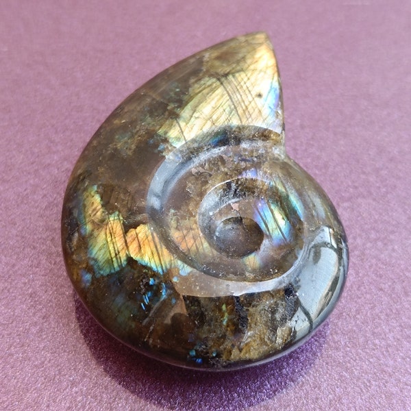 Shell Figurine - Etsy