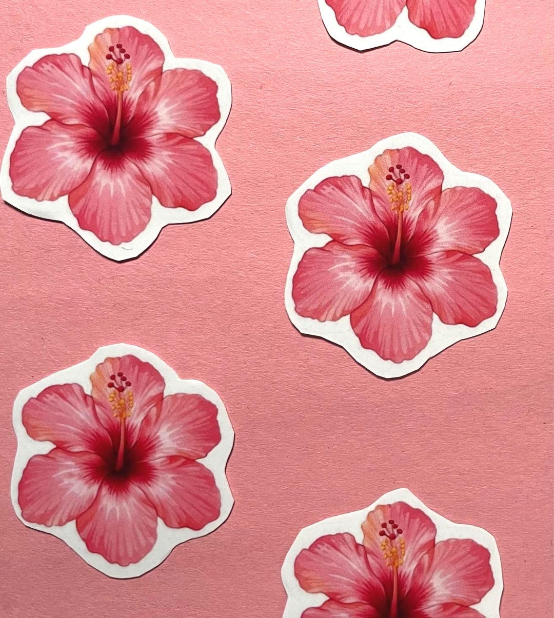 Pink Hibiscus Flower Sticker - Etsy