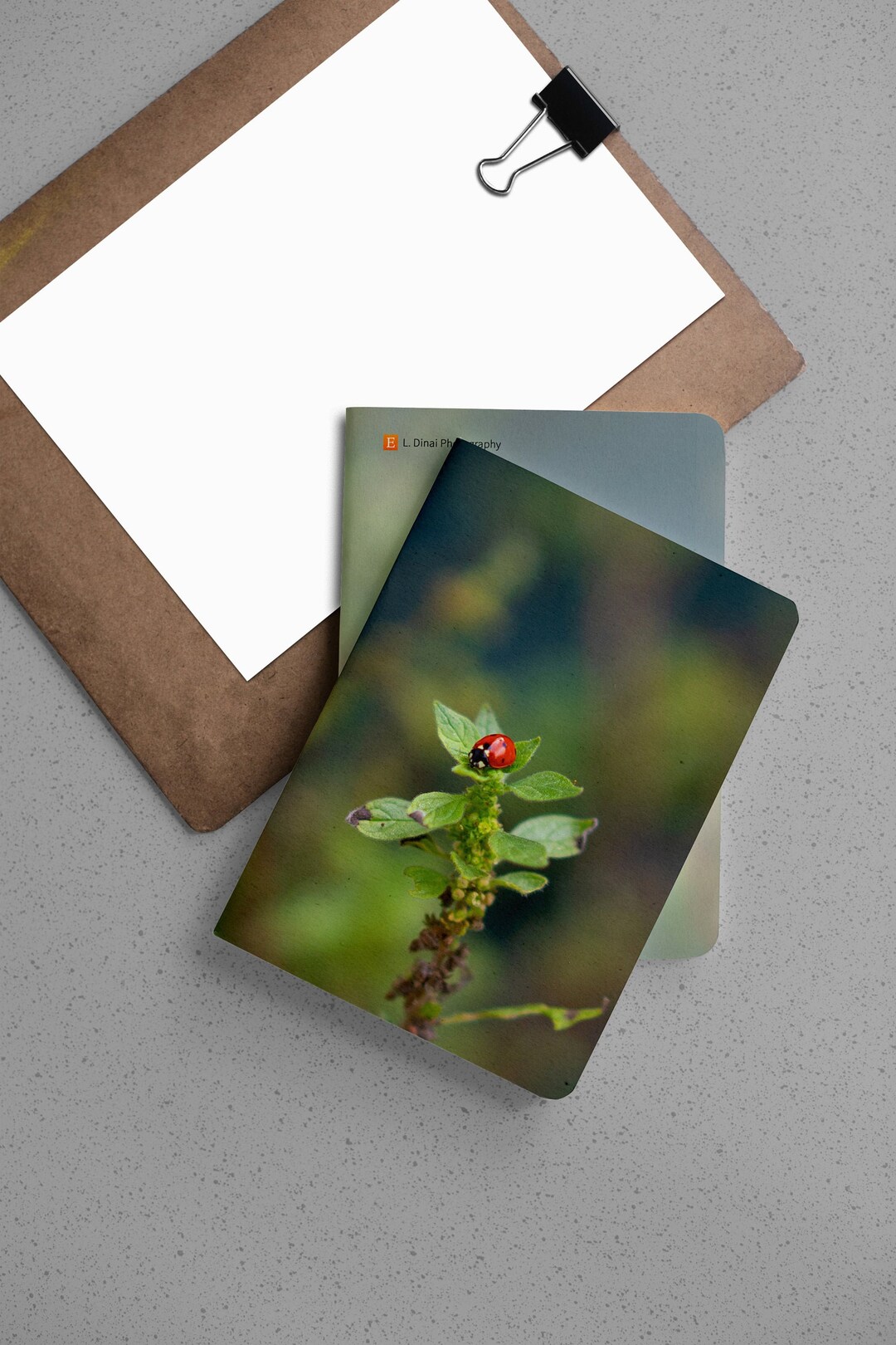 Ladybug ladybird Small Notebook for School, Personal Journaling ...