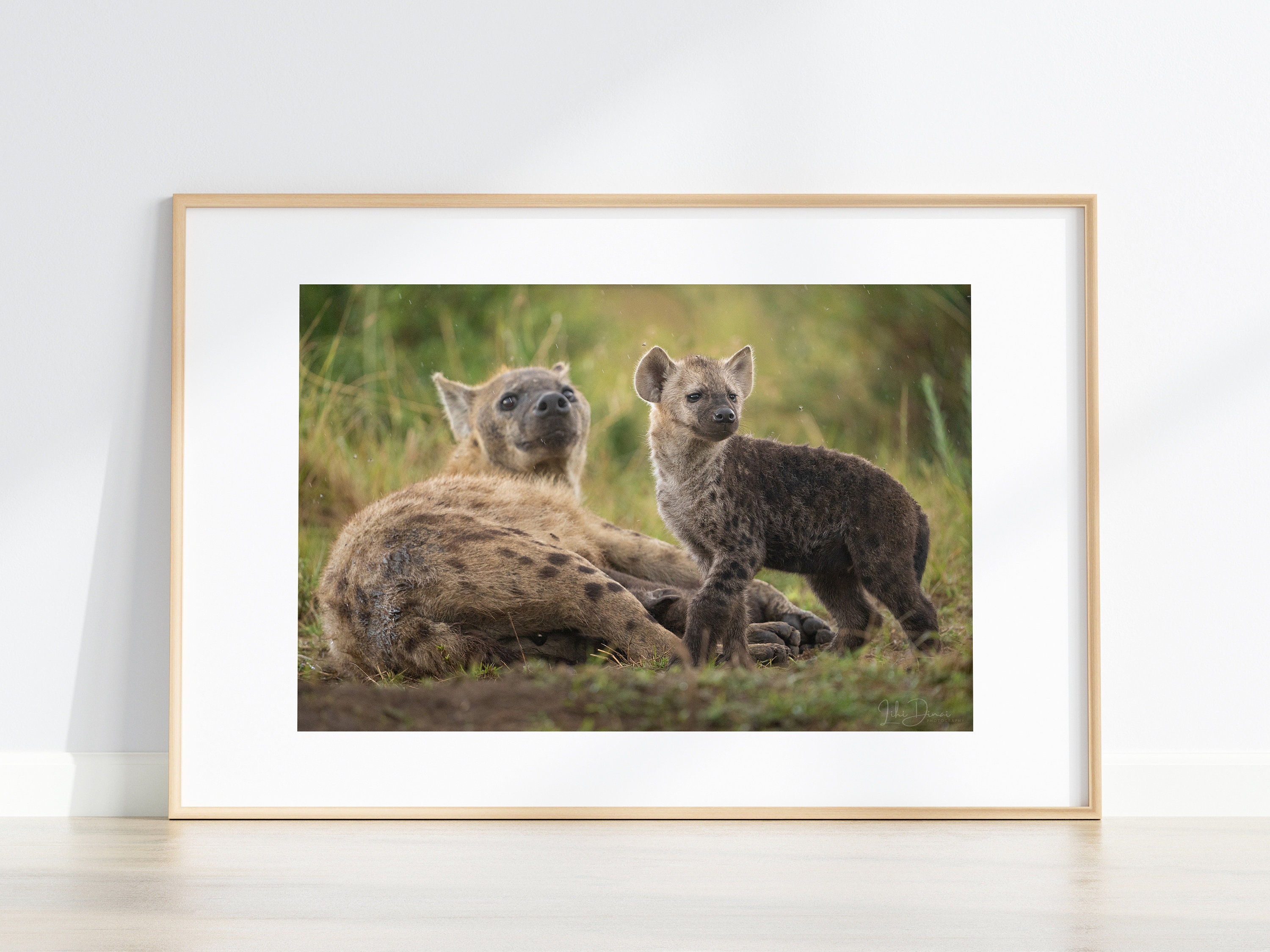 Hyenas Love, Hyena Mother and Cub Wildlife Photo Print / Wall Art, Gift ...