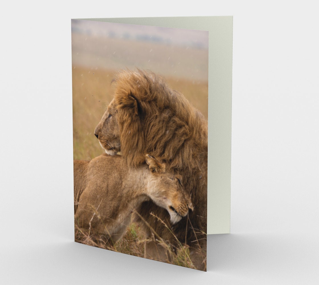 5X7 PRINTABLE Wildlife Greeting Card Lions Love, Lion and Lioness Hug ...