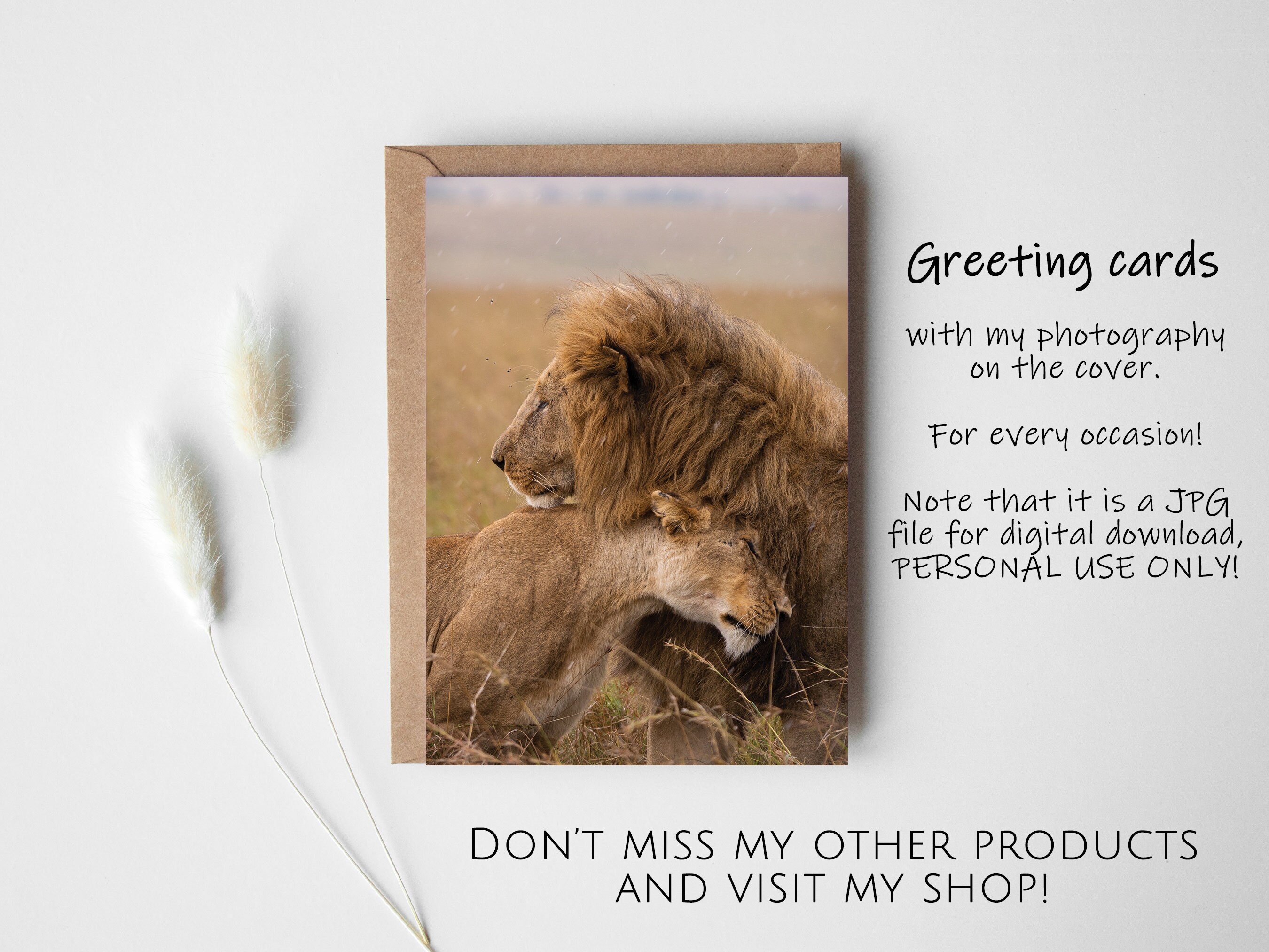 5X7 PRINTABLE Wildlife Greeting Card Lions Love, Lion and Lioness Hug ...