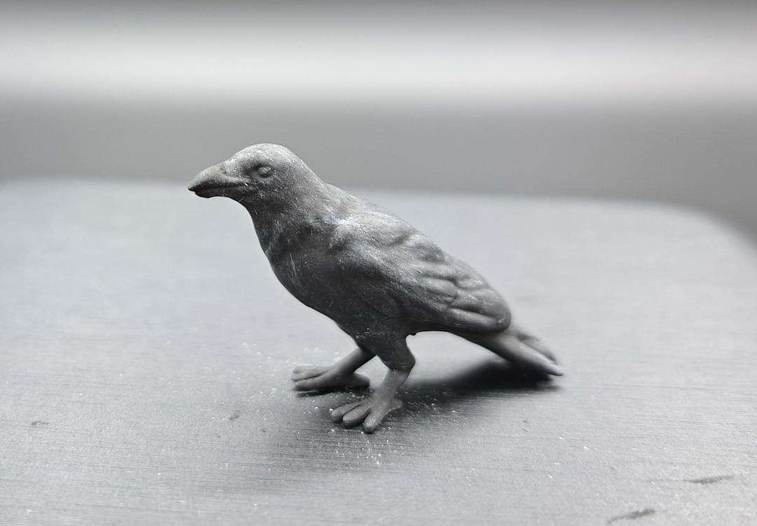 Raven 1:24 Scale DIY KIT - Etsy