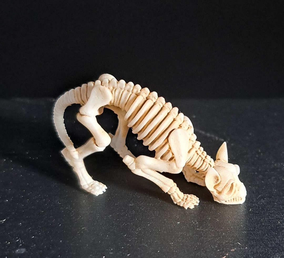 Skeleton Cat Head Down DIY Kit - Etsy
