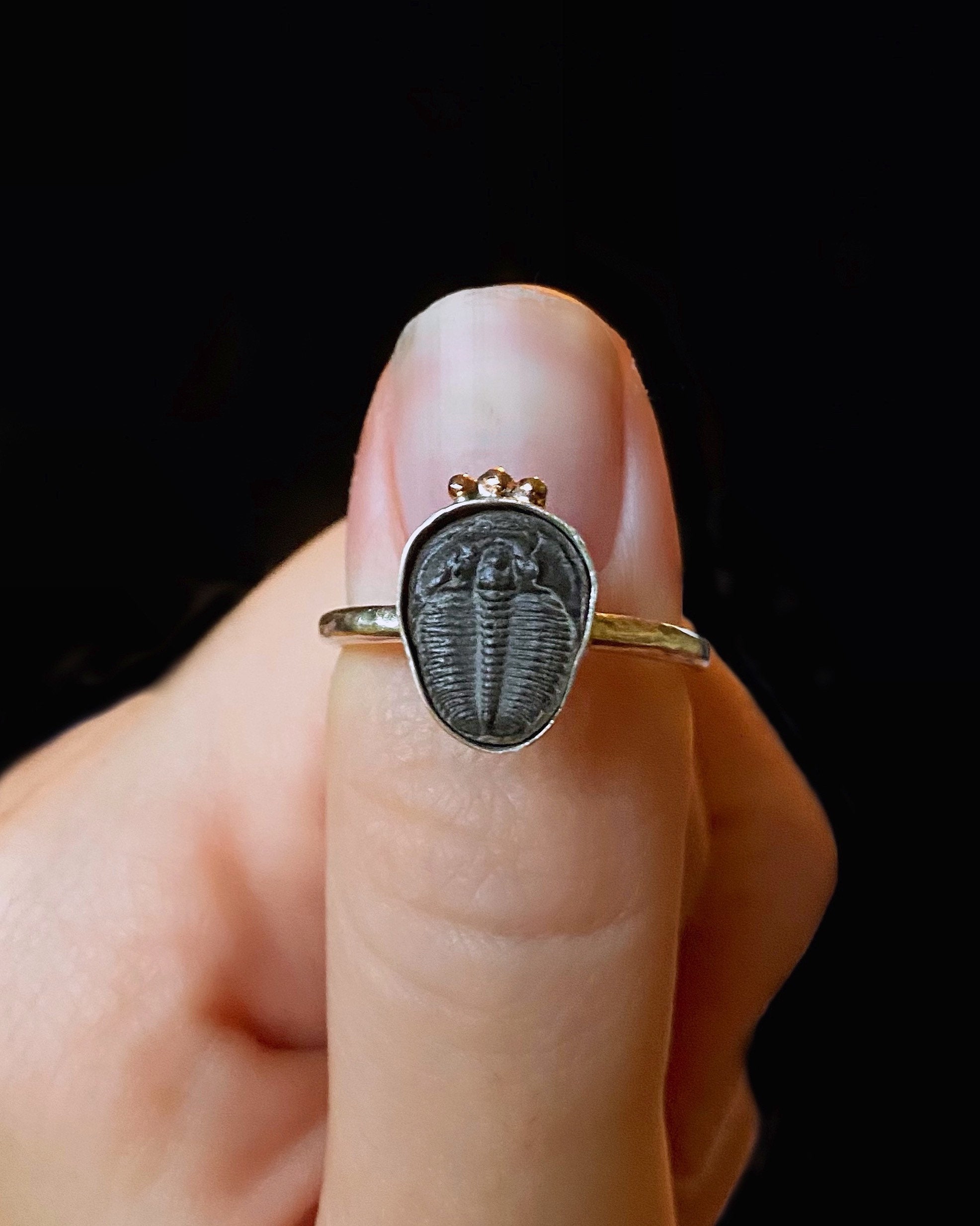 Dainty Fossil Ring | Etsy