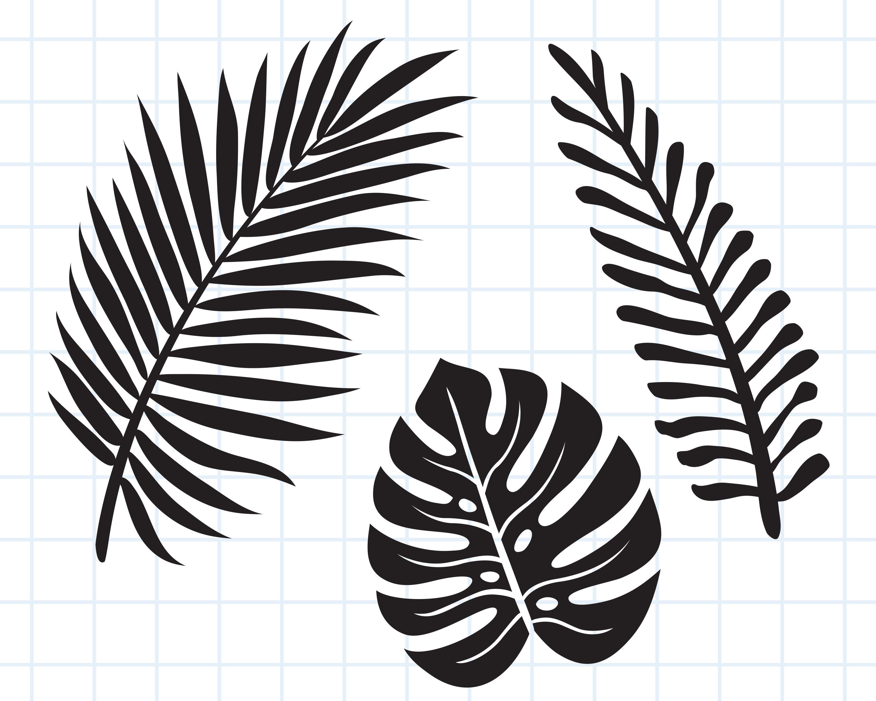 Hoja svg hojas svg plantas svg hojas tropicales svg hoja - Etsy España