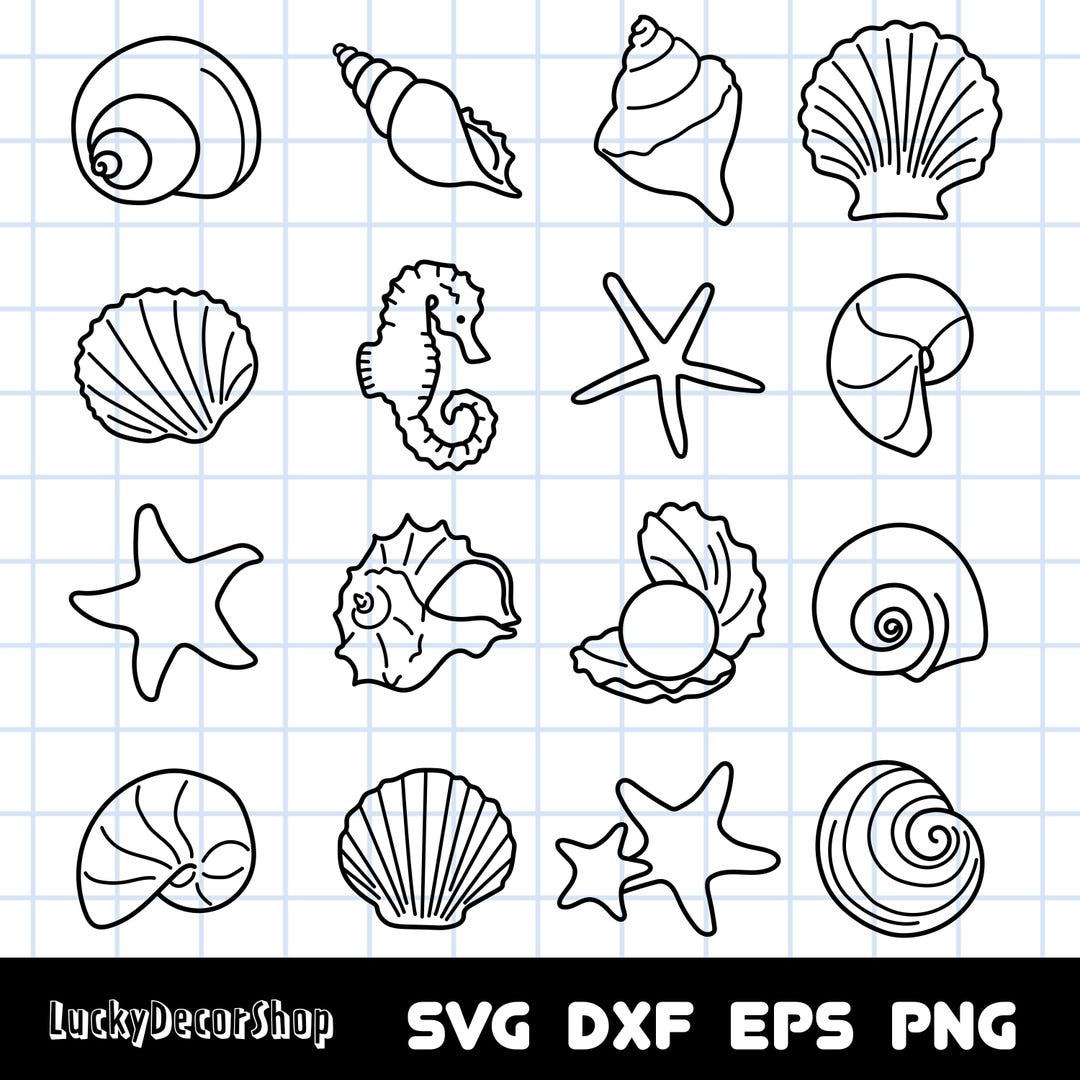Seashells Bundle SVG, Shell Svg ,seashell Clipart, Seashell Line ...