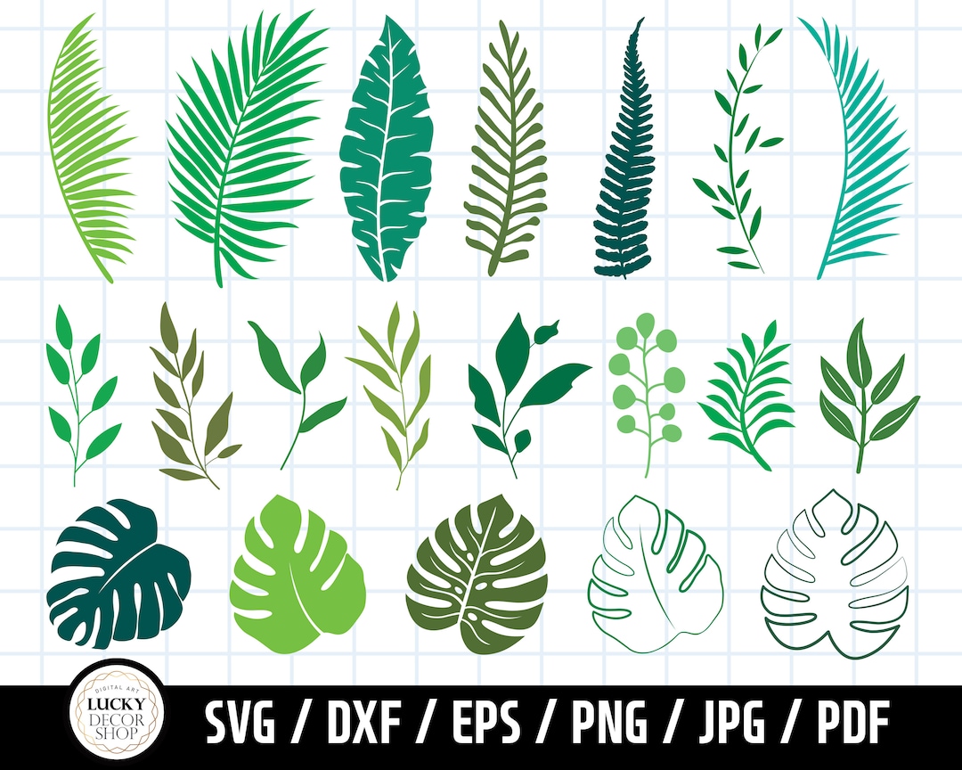 Hoja svg, Hojas svg, plantas svg, Hojas tropicales svg, hoja de ...