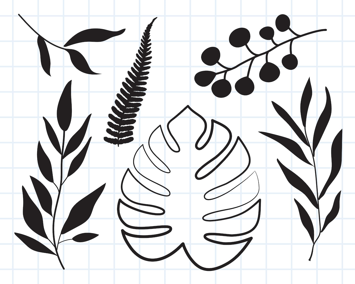 Svg de hojas hojas svg plantas svg hojas tropicales svg | Etsy