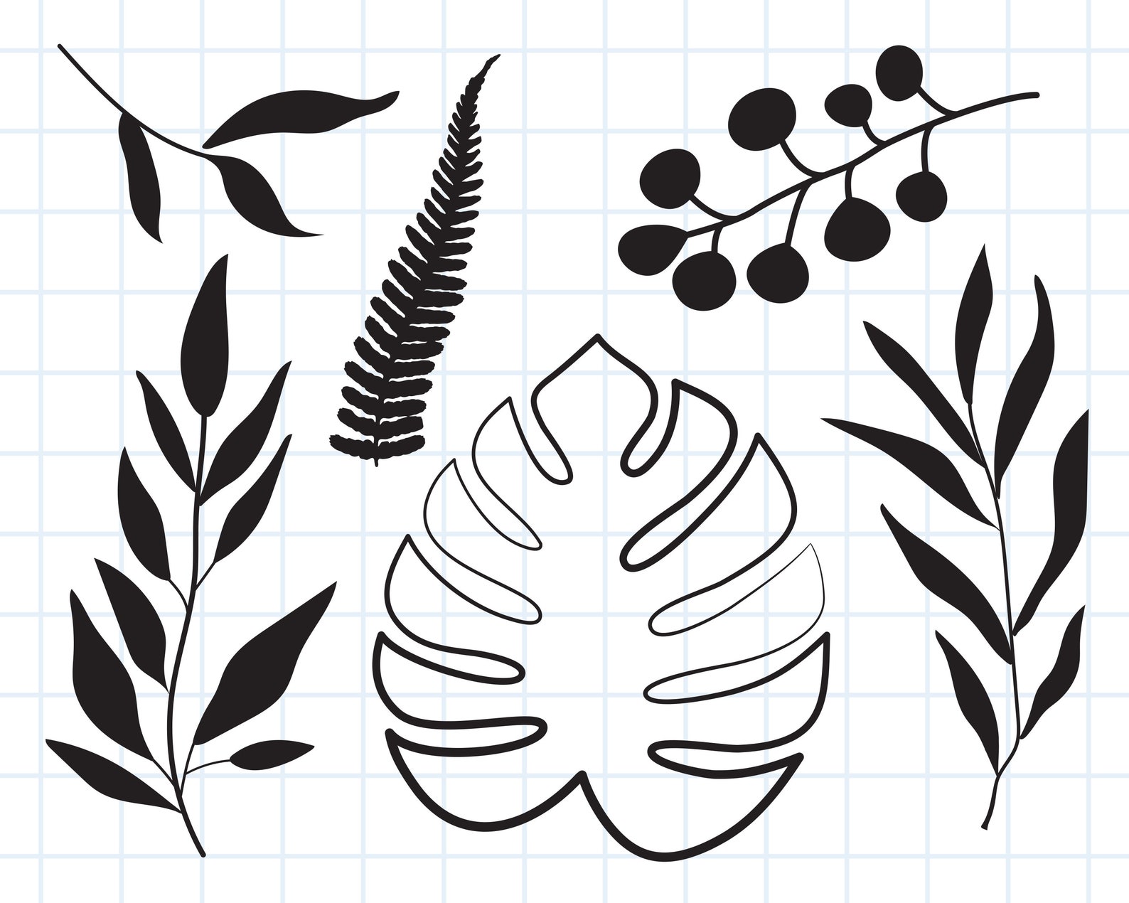 Blatt svg, Blätter svg, Pflanzen svg, Tropische Blätter svg, Monstera ...