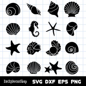 Seashells Bundle SVG, Shell Svg ,seashell Clipart, Seashell Line ...