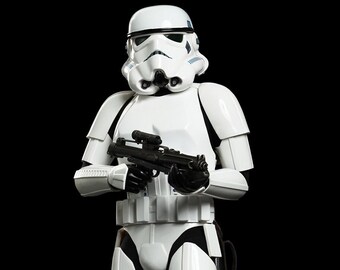 Sculpture Exclusive Organic Stormtrooper helmet Star Wars for 3D print ...