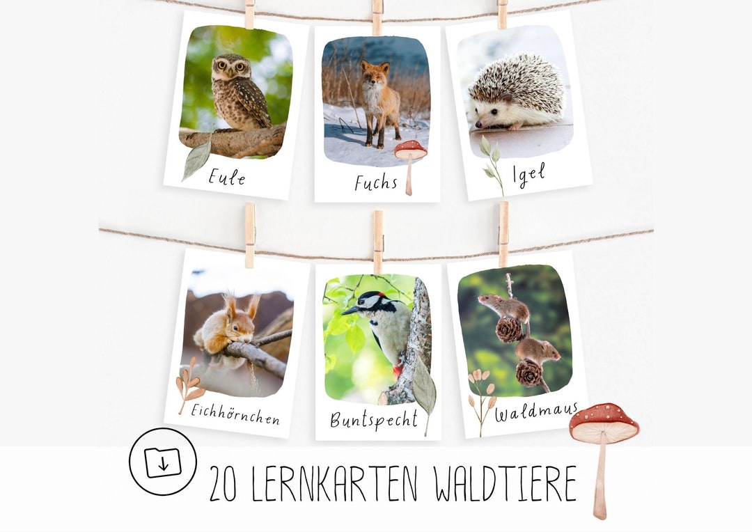 20 Flashcards Forest Animals to Print Out Pdf, Montessori Flashcards ...