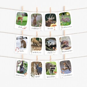 20 Flashcards Forest Animals to Print Out Pdf, Montessori Flashcards ...