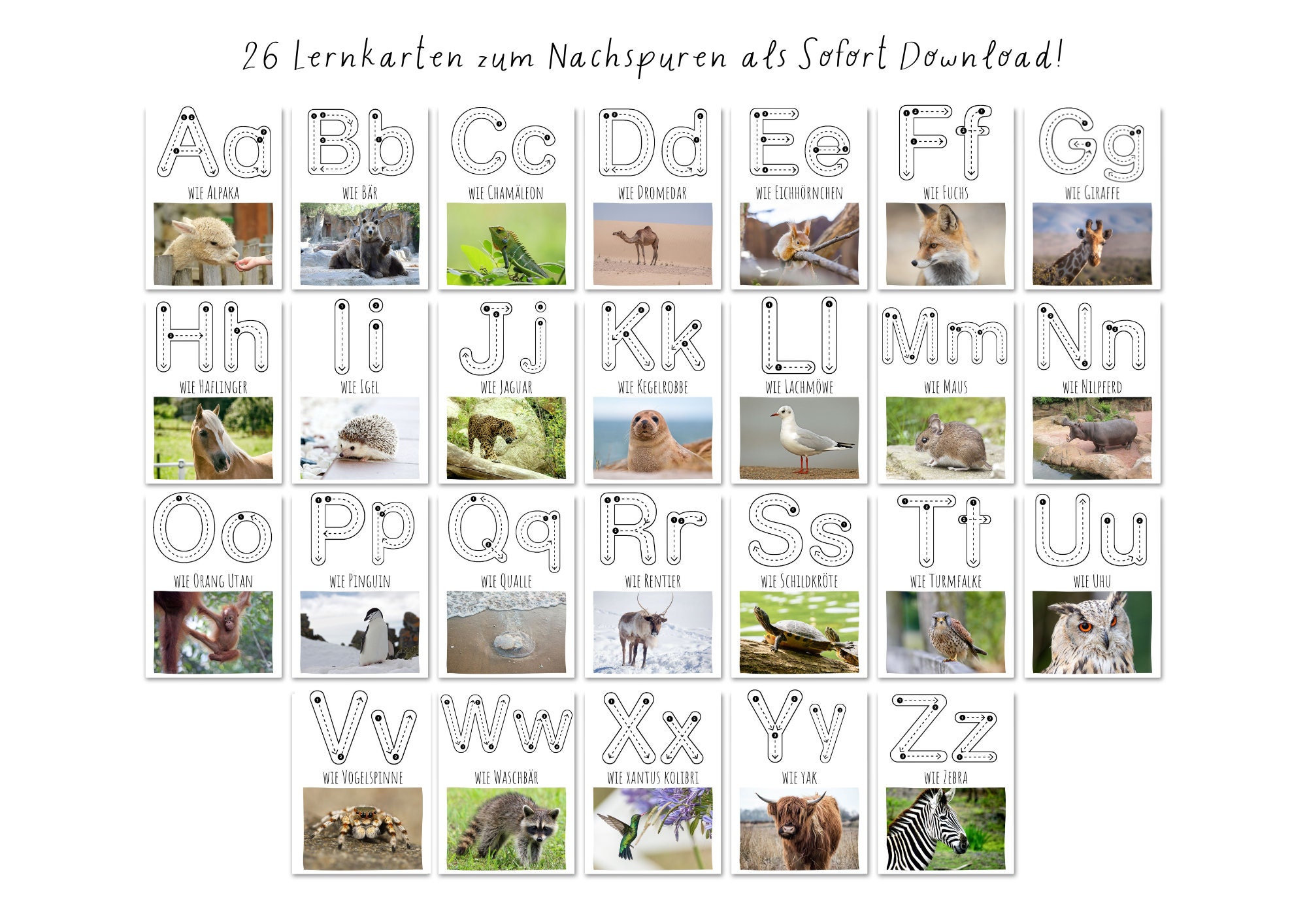 Alphabet Learning Cards Animals to Print Out Pdf, First Writing ...