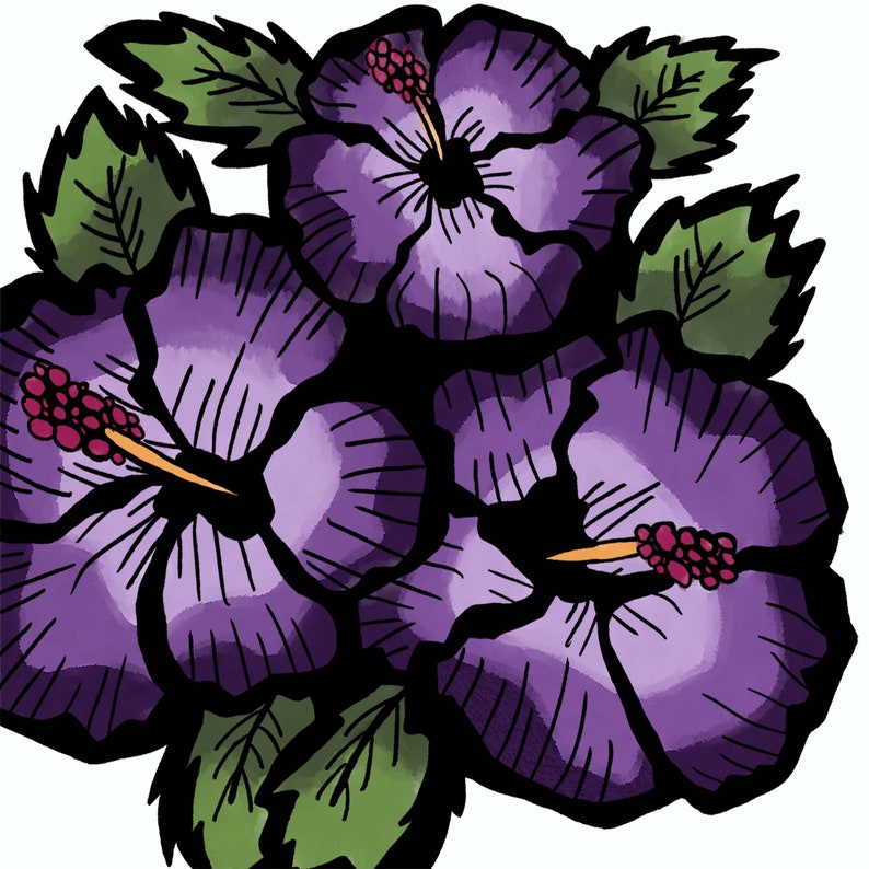Digital Hibiscus Drawing Downloadable Combo Pack - Etsy