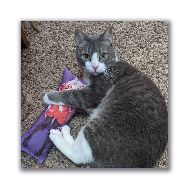 Catnip Dakimakura Anime Body Pillow for Cats Handmade - Etsy