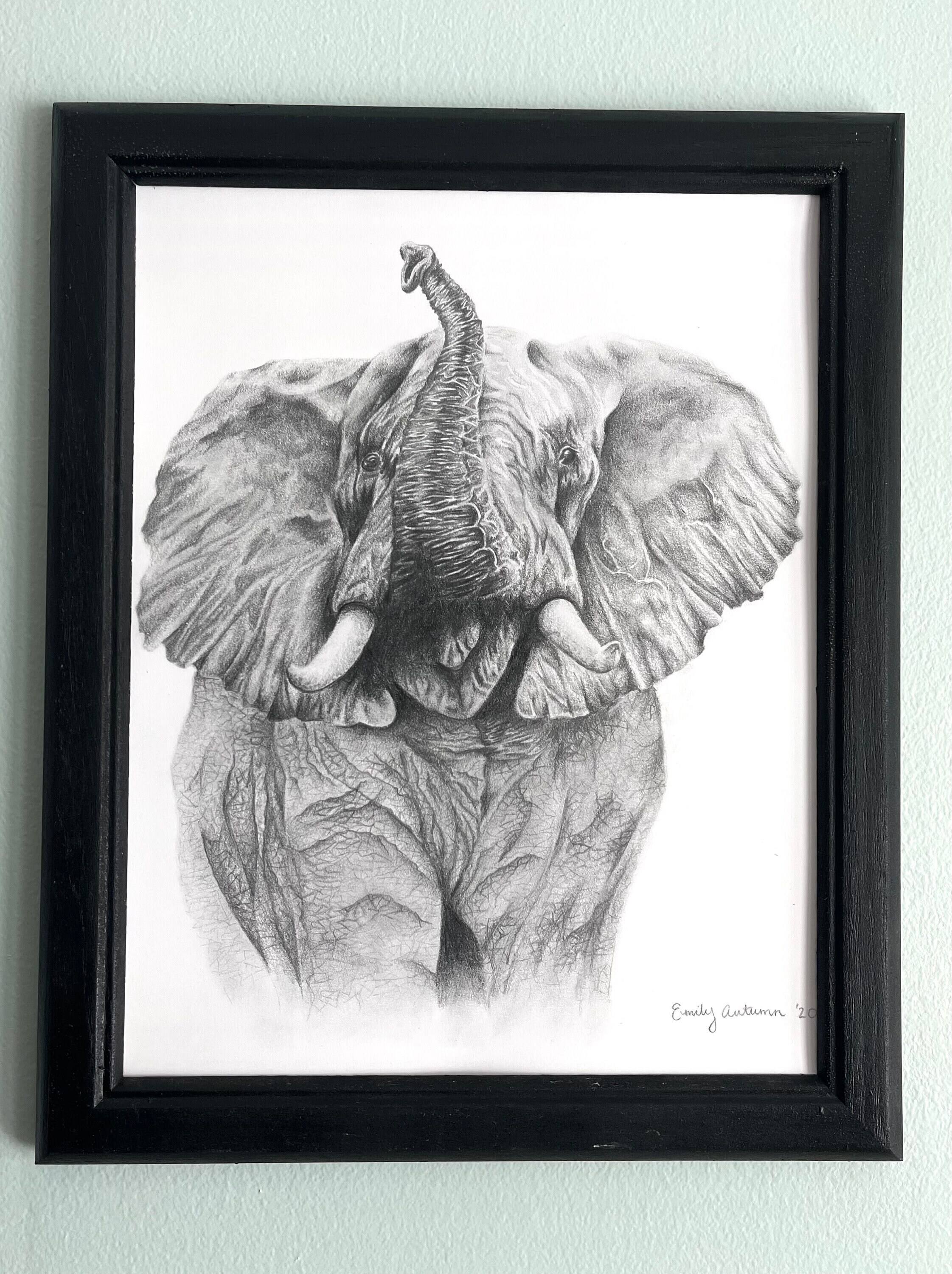 Elephant Drawing - Etsy