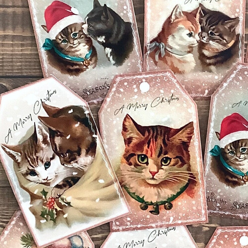 Cat Gift Tags - 60+ Gift Ideas for 2024