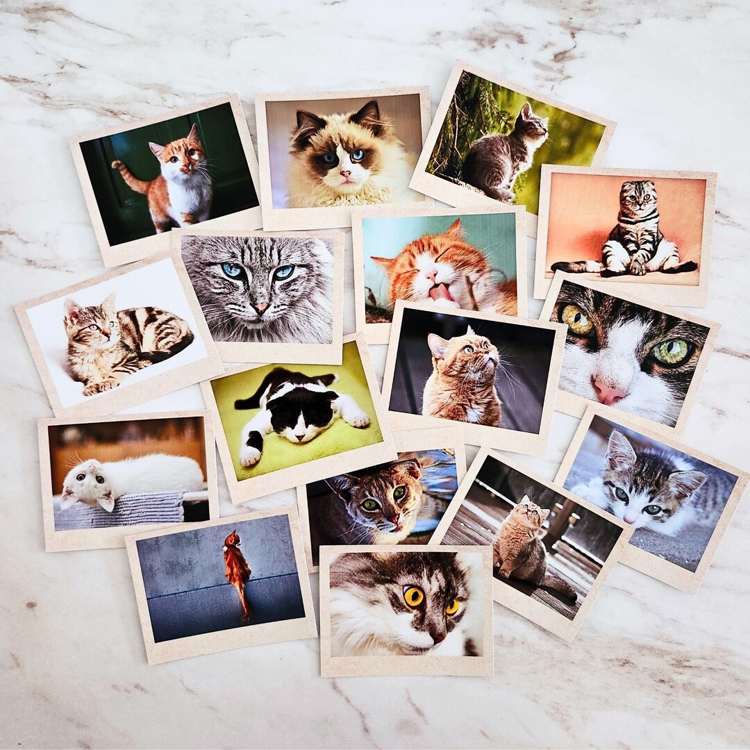 Cute Cats Themed Mini Photo Ephemera, Cat Ephemera, Cat Scrapbooking ...