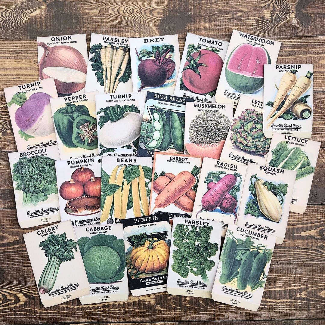 Vintage Vegetable Seed Packet Ephemera, Vintage Journals, Vintage ...