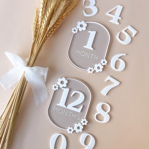 Oval Floral Border Interchangeable Milestone Set, Baby Month ...