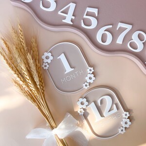 Oval Floral Border Interchangeable Milestone Set, Baby Month ...
