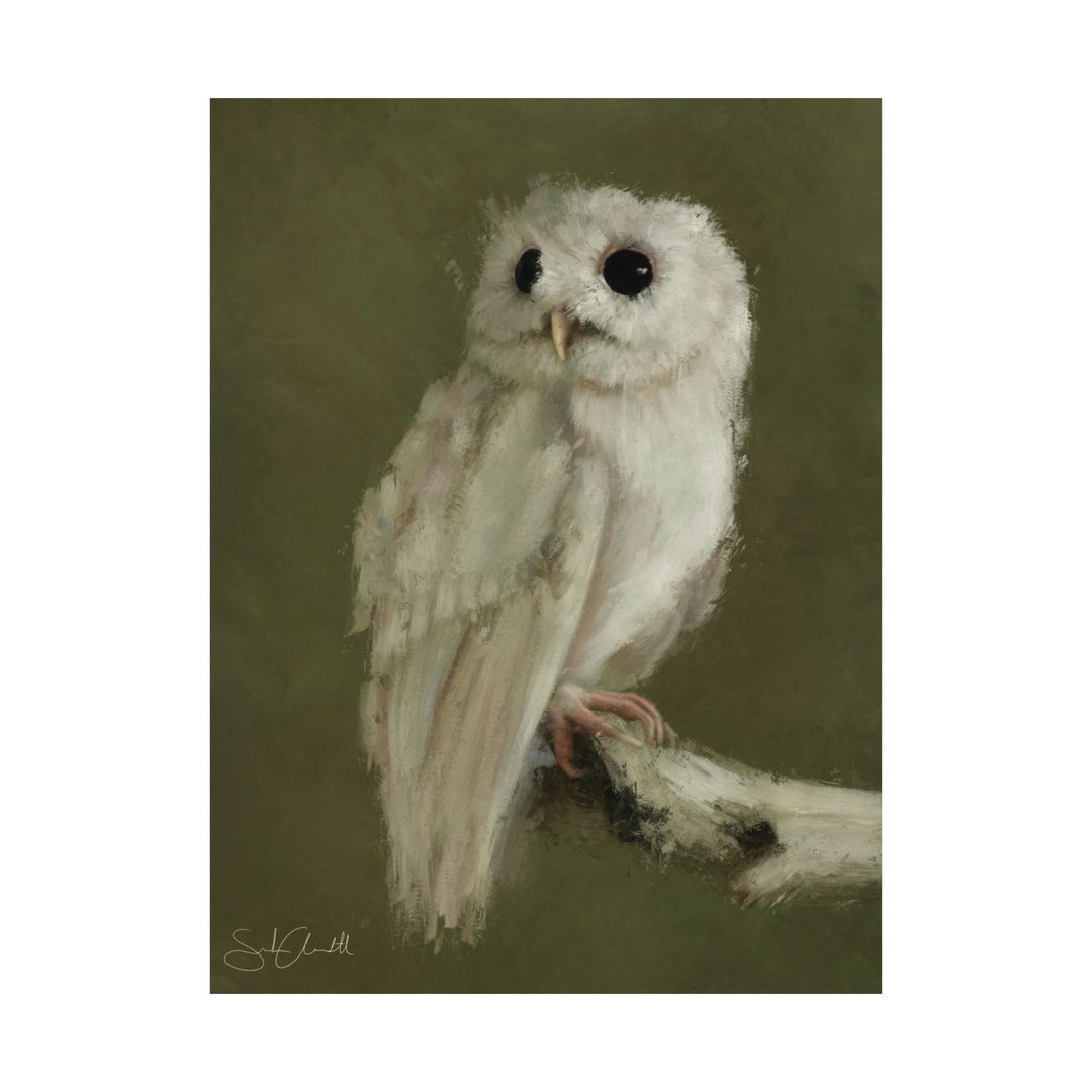 Albino Eastern Owl PRINT - Etsy