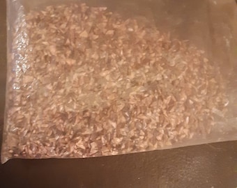 Balsam Fir Tree Seeds abies Balsamea 25seeds - Etsy