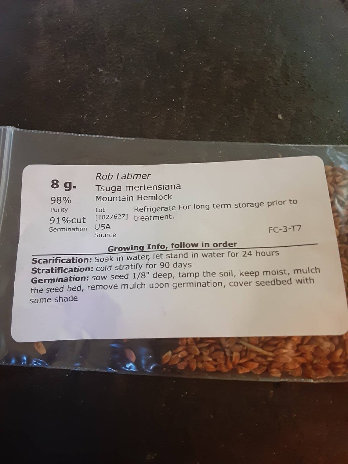 Mountain Hemlock Tree Seeds tsuga Mertensiana - Etsy