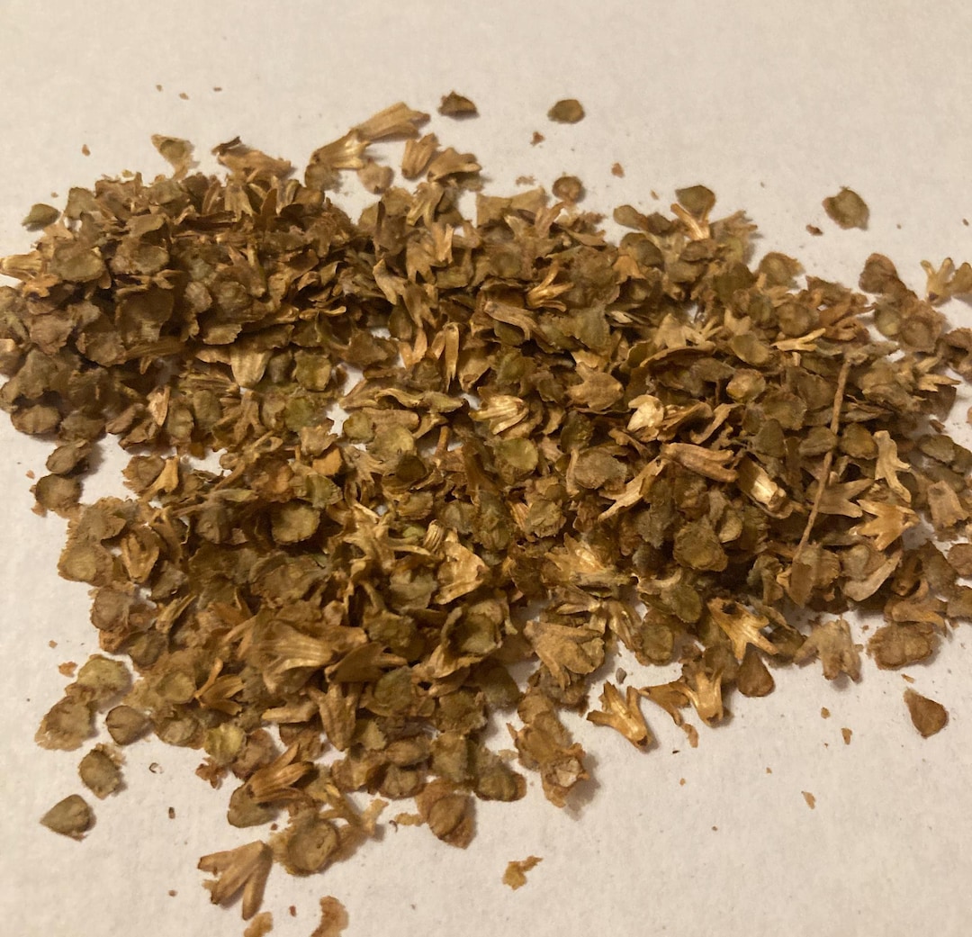 River Birch Tree Seeds (BETULA NIGRA) (water Birch) - Etsy