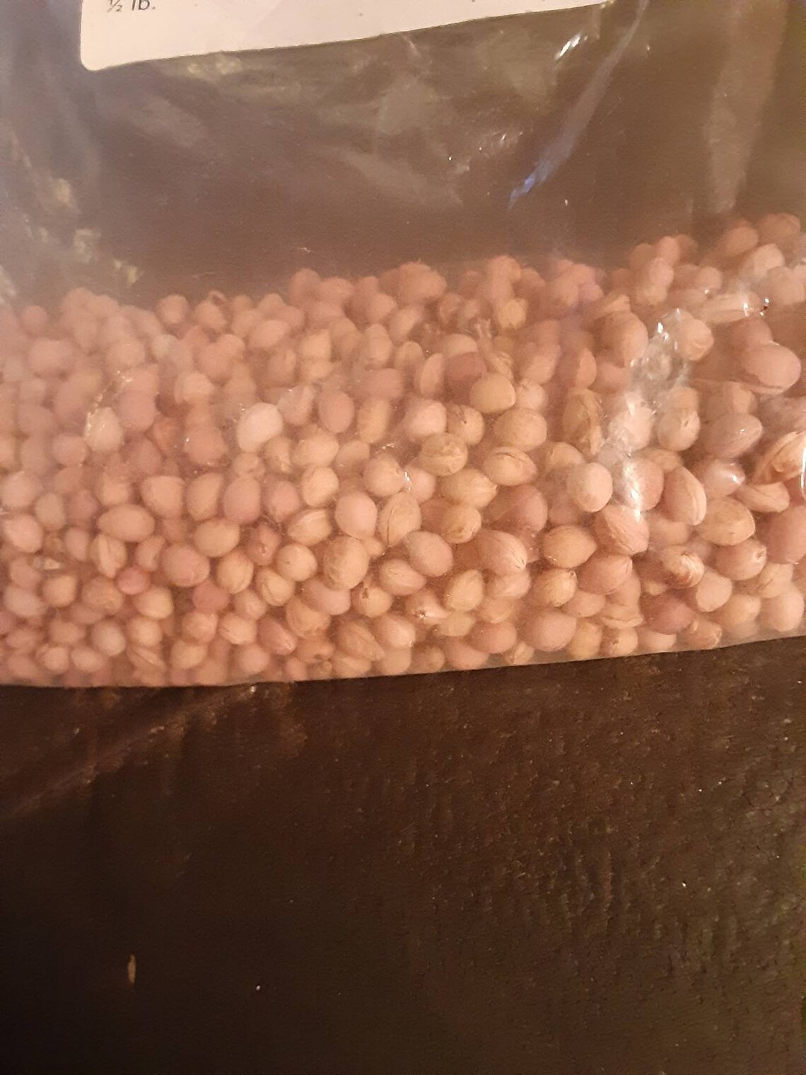 Black Chokecherry Tree Seeds prunus Virginiana new Crop - Etsy