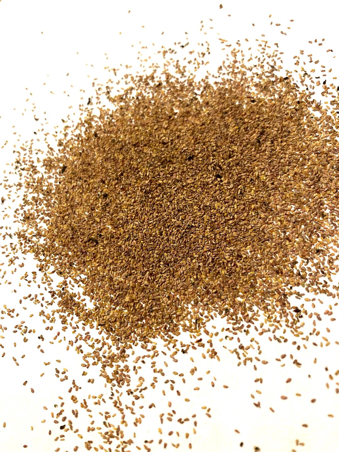 Quaking Aspen Tree Seeds (POPULUS TREMULOIDES) (trembling Aspen) - Etsy