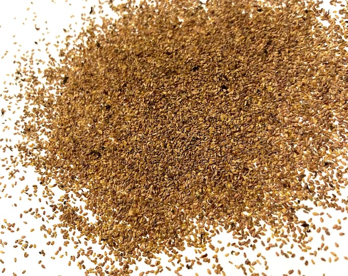 Quaking Aspen Tree Seeds | Aspen Tree Seeds | Aspen Trees | Aspen Seeds ...
