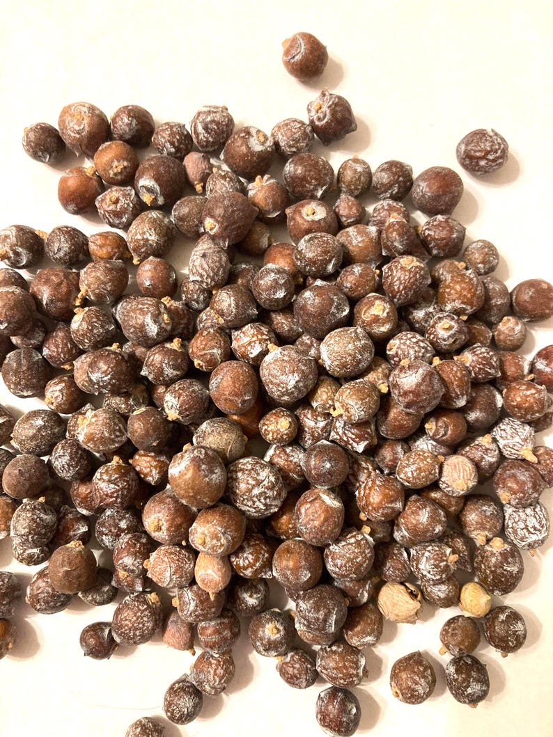 Utah Juniper Tree Seeds (JUNIPERUS OSTEOSPERMA Dried Berries/cones) - Etsy