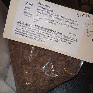 Koko Tree Seeds (albizia Lebbeck) (siris Tree) (mother-in-law's Tongue ...