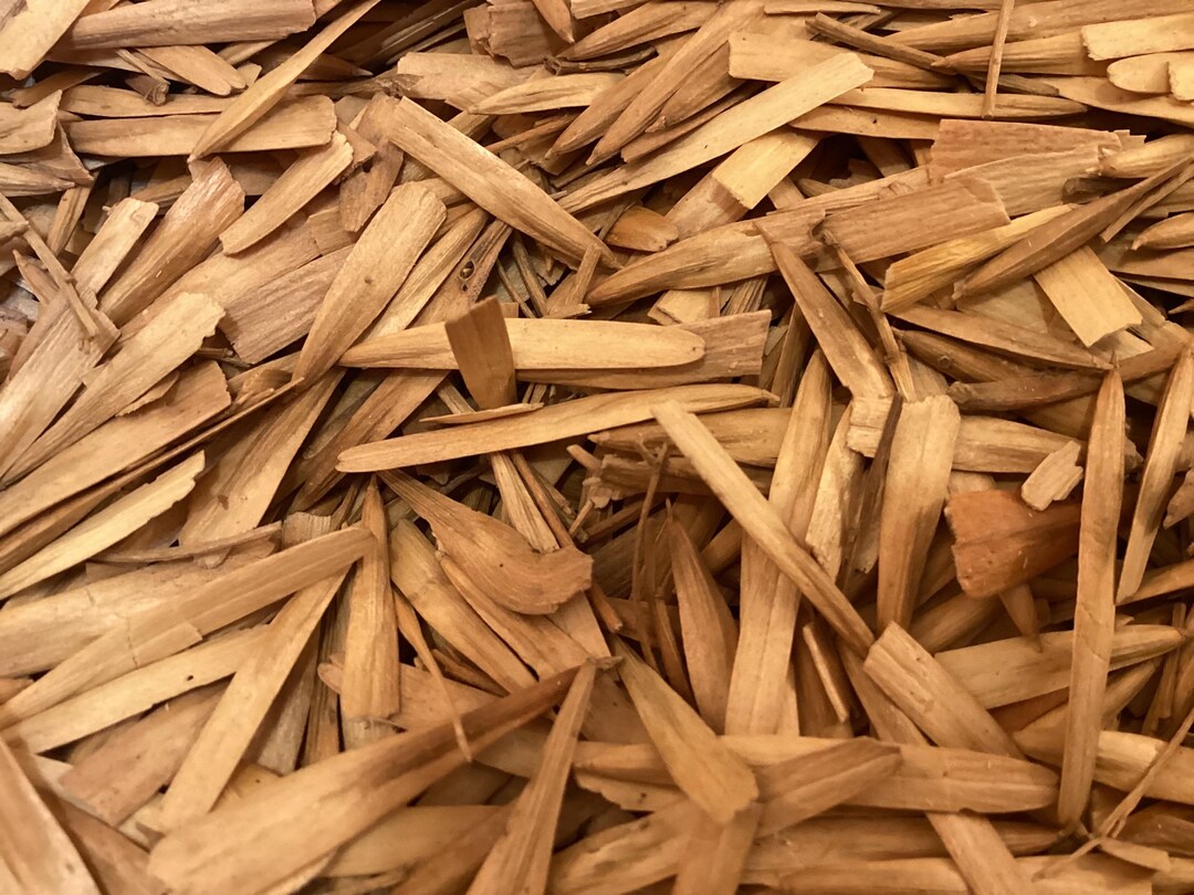 Green Ash Tree Seeds (FRAXINUS PENNSYLVANICA) (red Ash) (northern Red ...