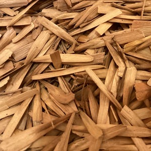Green Ash Tree Seeds (FRAXINUS PENNSYLVANICA) (red Ash) (northern Red ...