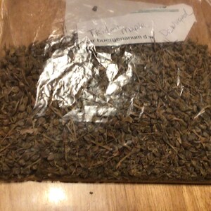 Trident Maple Tree Seeds ACER BUERGERIANUM dewinged three-toothed Maple ...