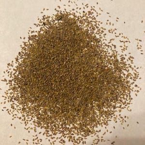 Trembling Aspen Tree Seeds (POPULUS TREMULOIDES) (quaking Aspen) - Etsy