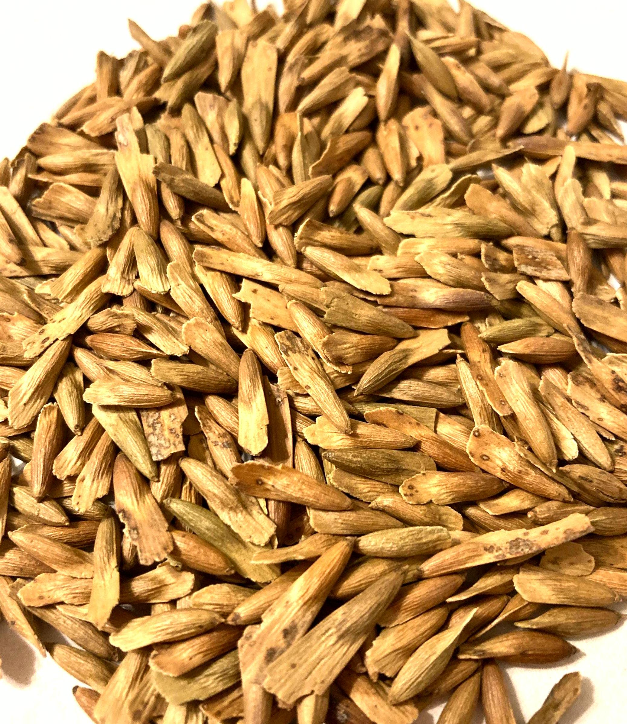 Texas Ash Tree Seeds (FRAXINUS TEXENSIS) - Etsy