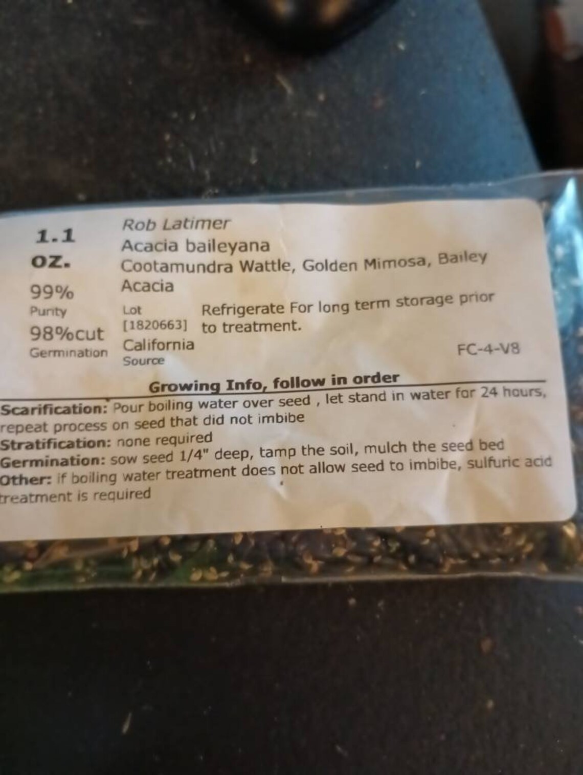 Bailey Acacia Tree Seeds acacia Baileyana - Etsy