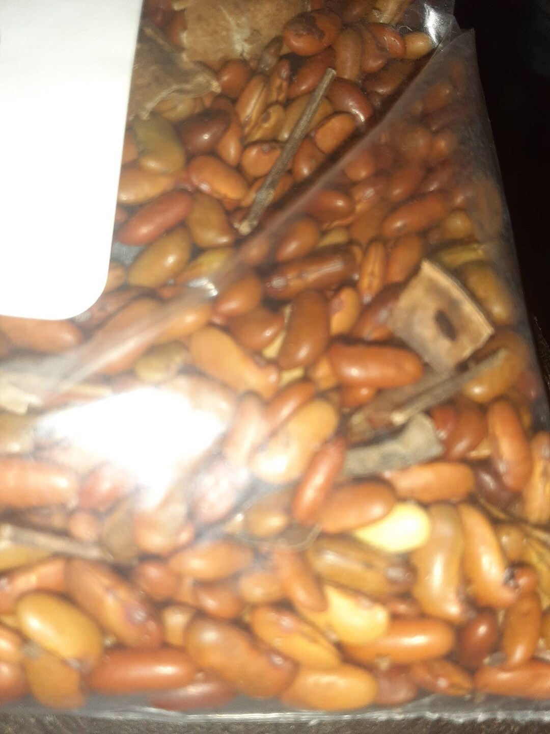 Chinese Yellow Wood Tree Seeds maackia Amurensis - Etsy