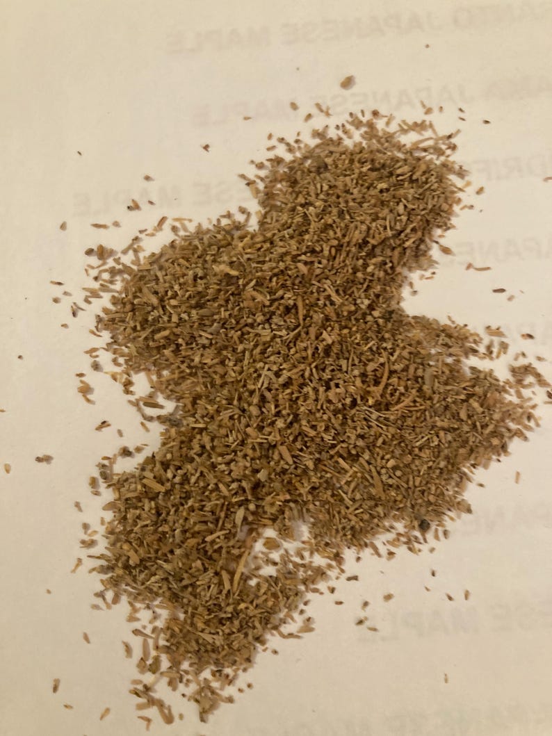 Big Sagebrush Tree Seeds (ARTEMISIA TRIDENTATA) (wyoming Big Sagebrush ...
