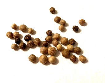 Seeds for Planting, Cornus Walteri Seeds, Walter's Dogwood, Korean ...